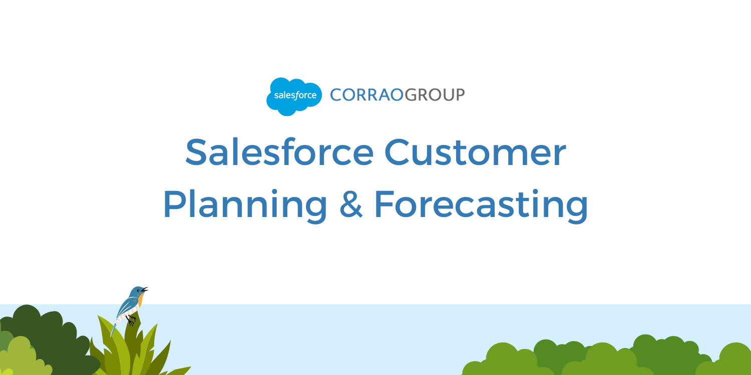 Introducing Salesforce Customer Planning & Forecasting – Corrao Group Blog